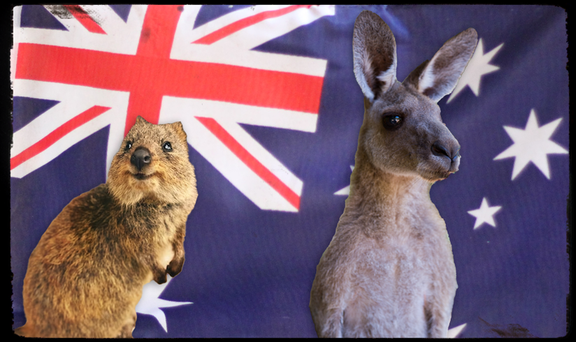 Spannende Fakten über Australien | egoFM Spannende Fakten über Australien | egoFM