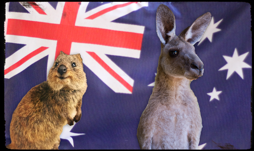 15 spannende Fakten über Australien | egoFM 15 spannende Fakten über Australien | egoFM